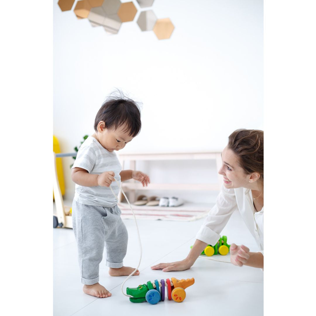 Rainbow Alligator – PILLOBEBE