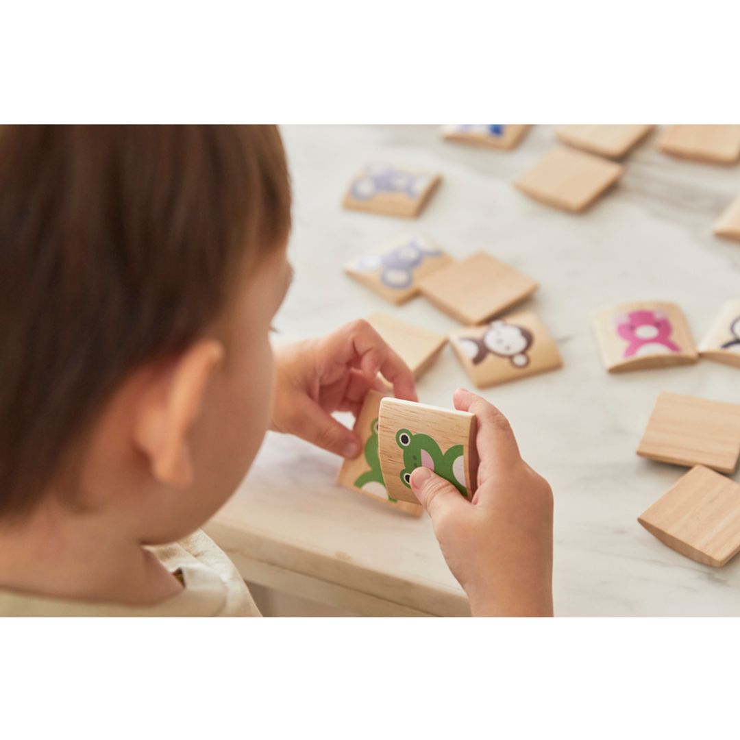 Animals Memo – PILLOBEBE