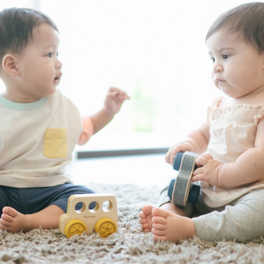 Timber Trail Bus – PILLOBEBE